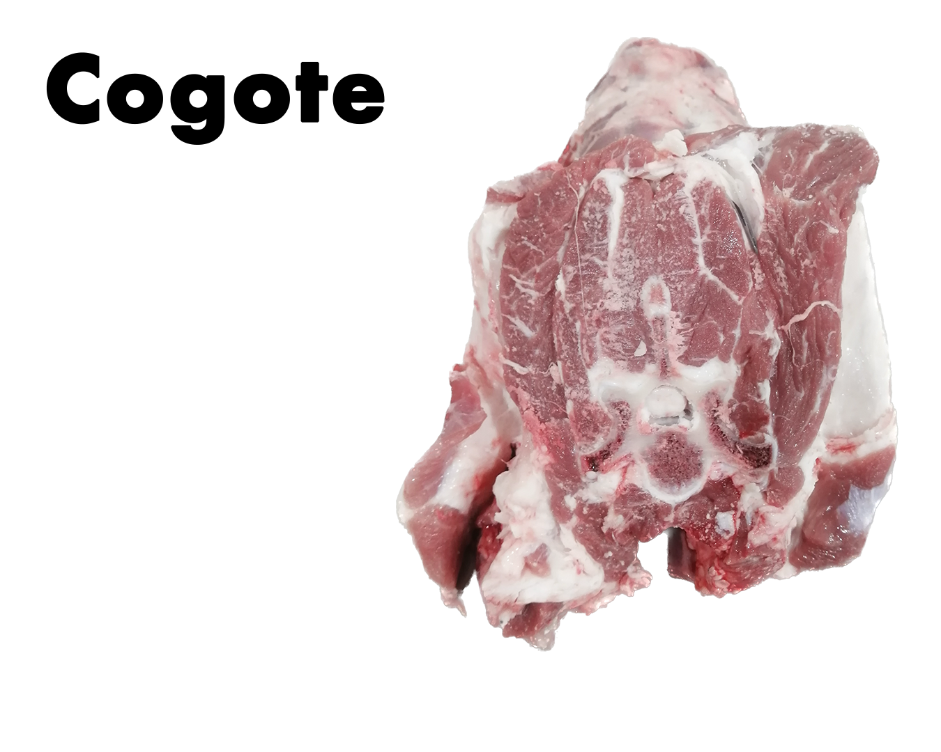 13 cortes de carne de cordero | Alacarta